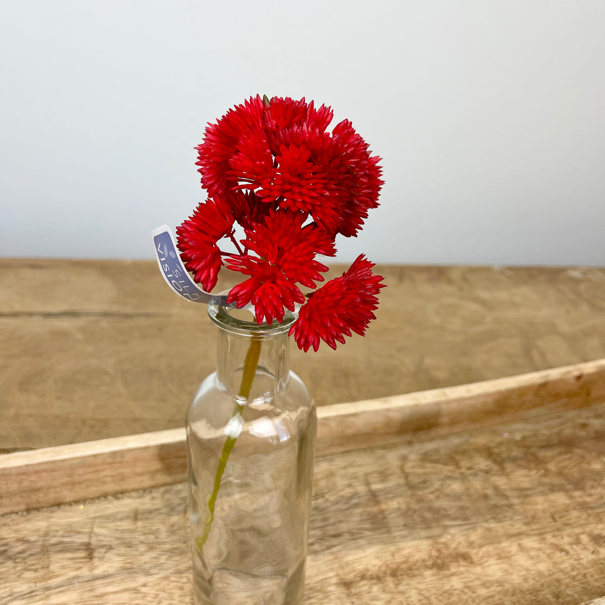 Red Sedum Succulent Pick – Magnolias