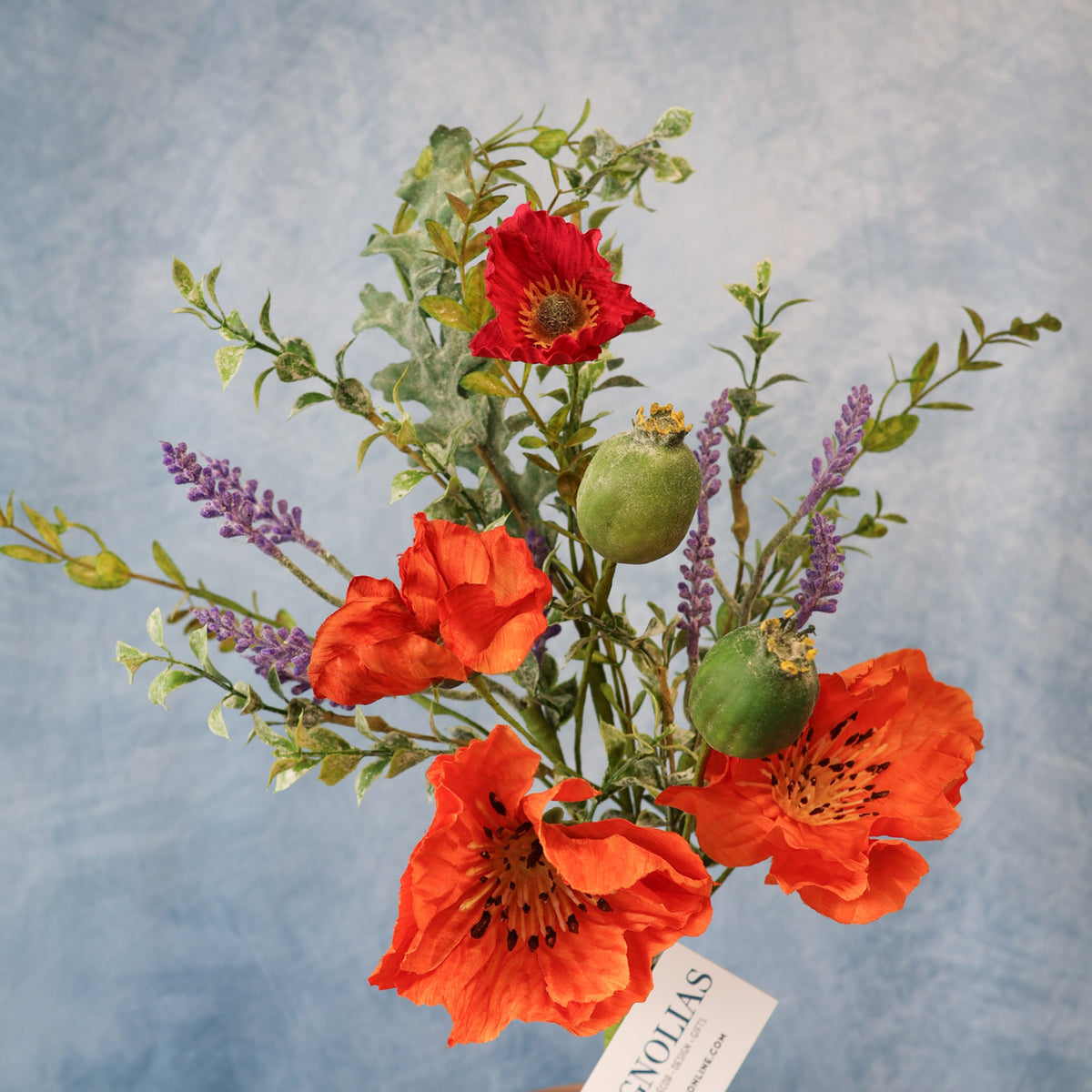 Noah Wild Poppy Spray – Magnolias