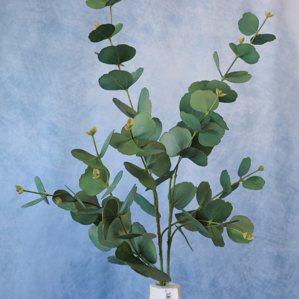 Symphony Eucalyptus Spray – Magnolias
