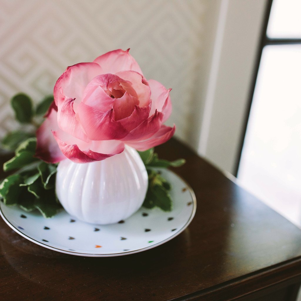 Sweet Grace Flower Diffuser – Magnolias Home Decor and Design
