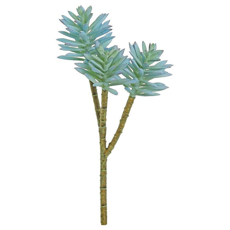 Spiny Succulent Spray - Blue/Sage – Magnolias